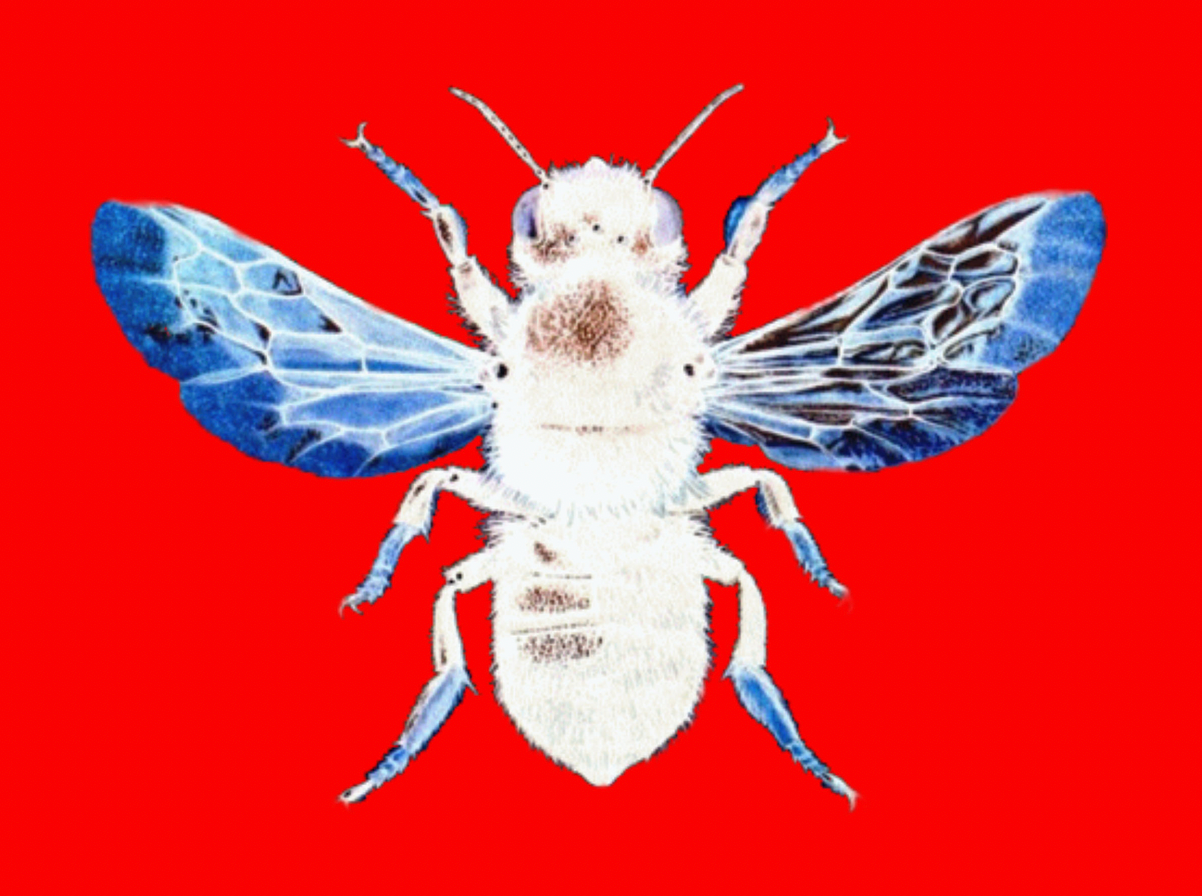 STARKE NAKED VINTAGE